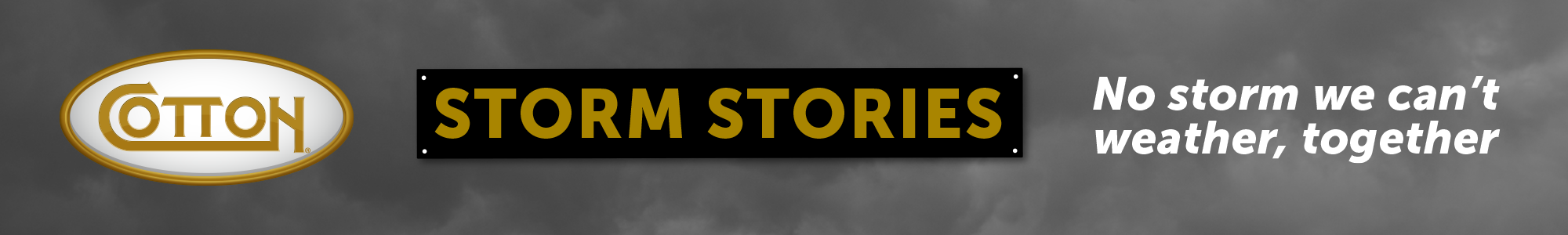 Hear From the Cotton Disaster Recovery Experts In Our Storm Stories Vi - Cotton Holdings Inc.